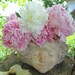 4 Faces Planter - Etsy