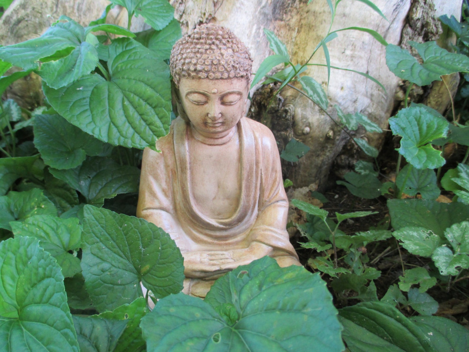 Small Japanese Buddha Statue | Etsy