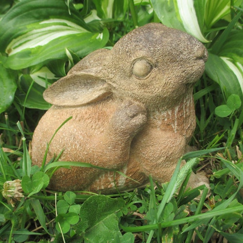 Peeking Cute Half Helicopter Lop Bunny Sticker Rabbit Laptop | Etsy