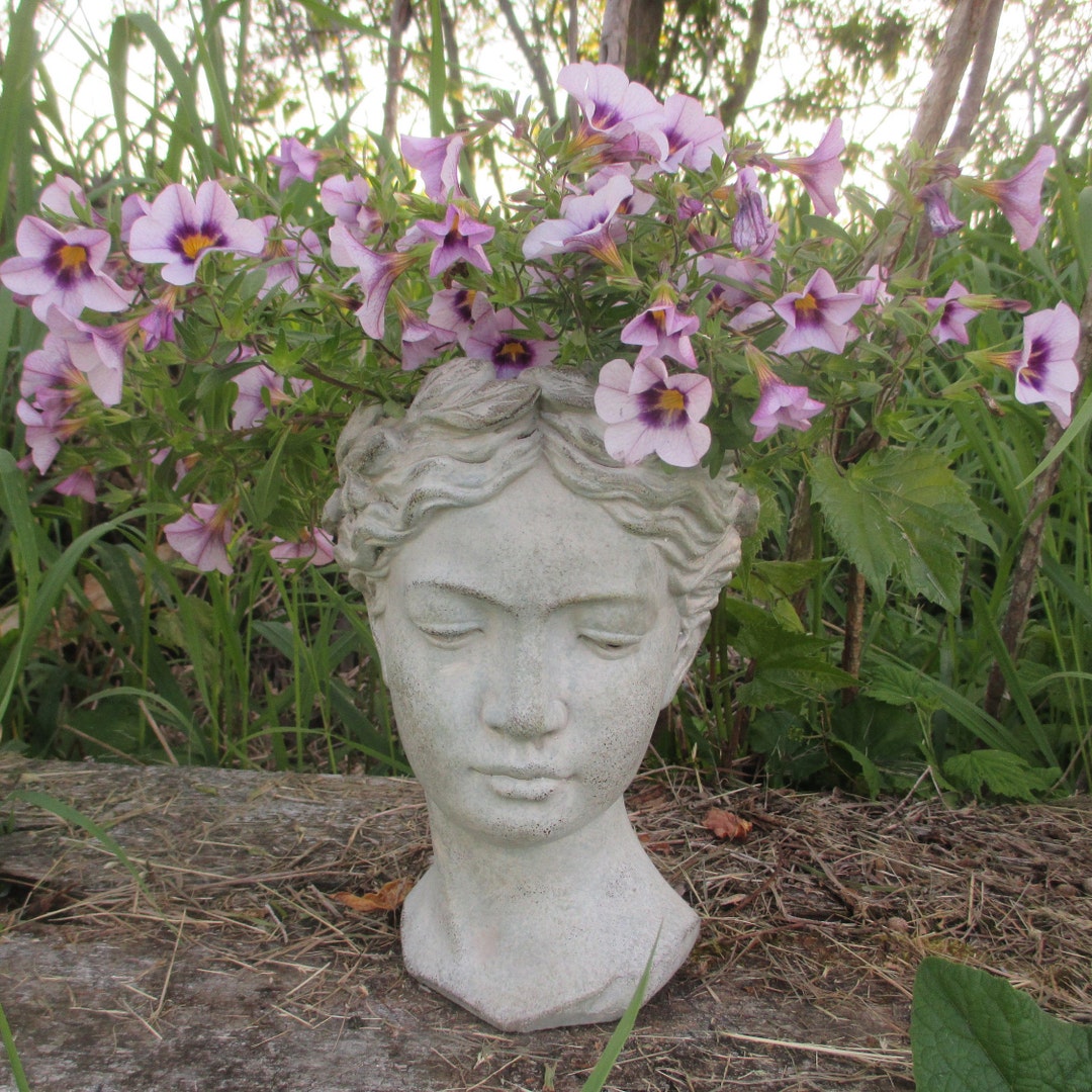 Venus Goddess Bust Planter Medium - Etsy