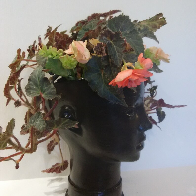 Candace African Queen Mother Head Bust Planter - Etsy