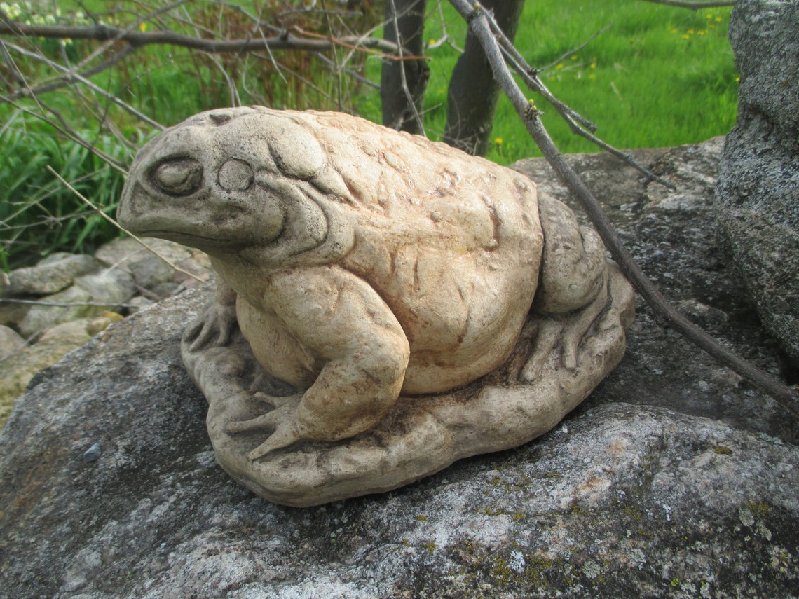 King Arthur-toad | Etsy