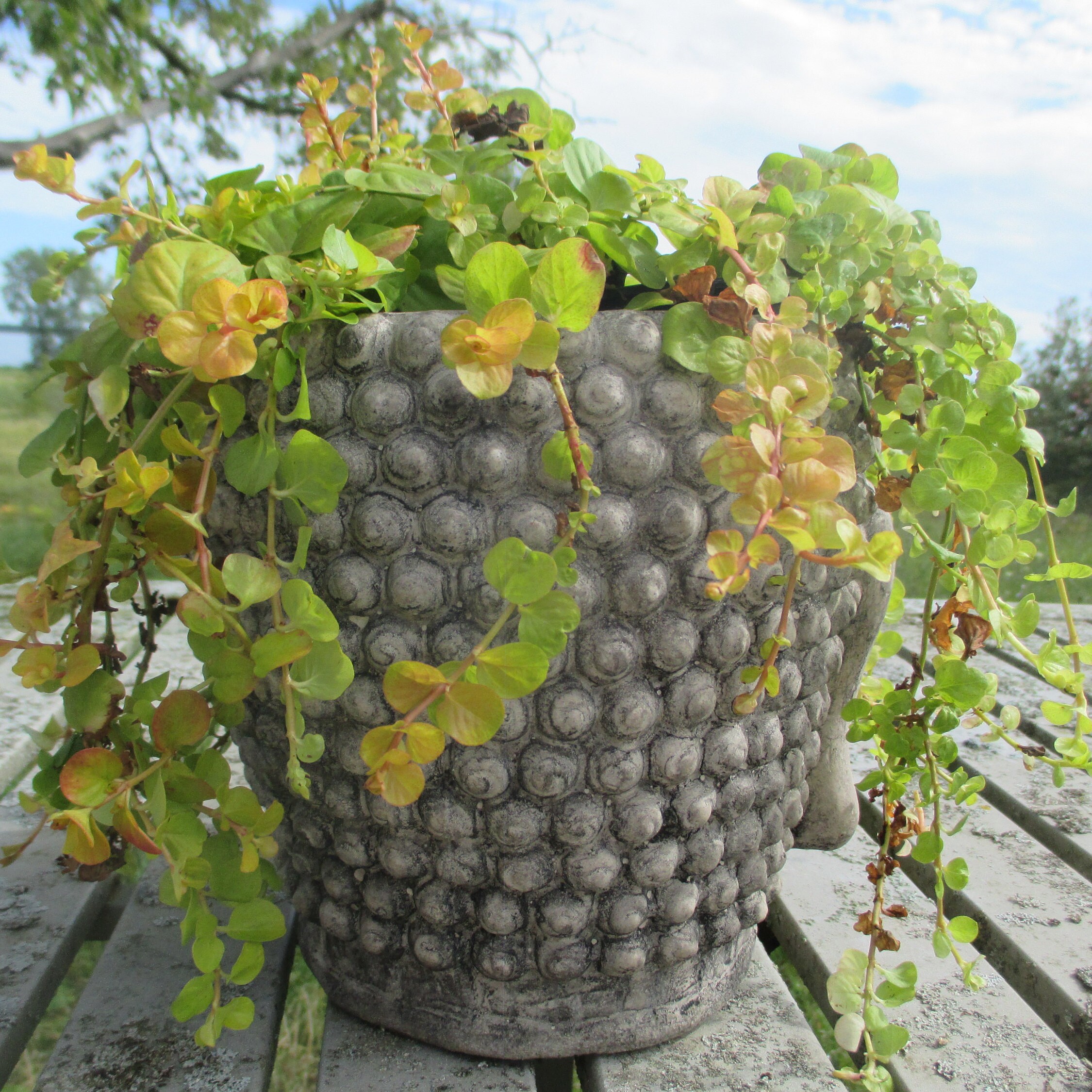 Extra Large Buddha Head Planter - Etsy Canada
