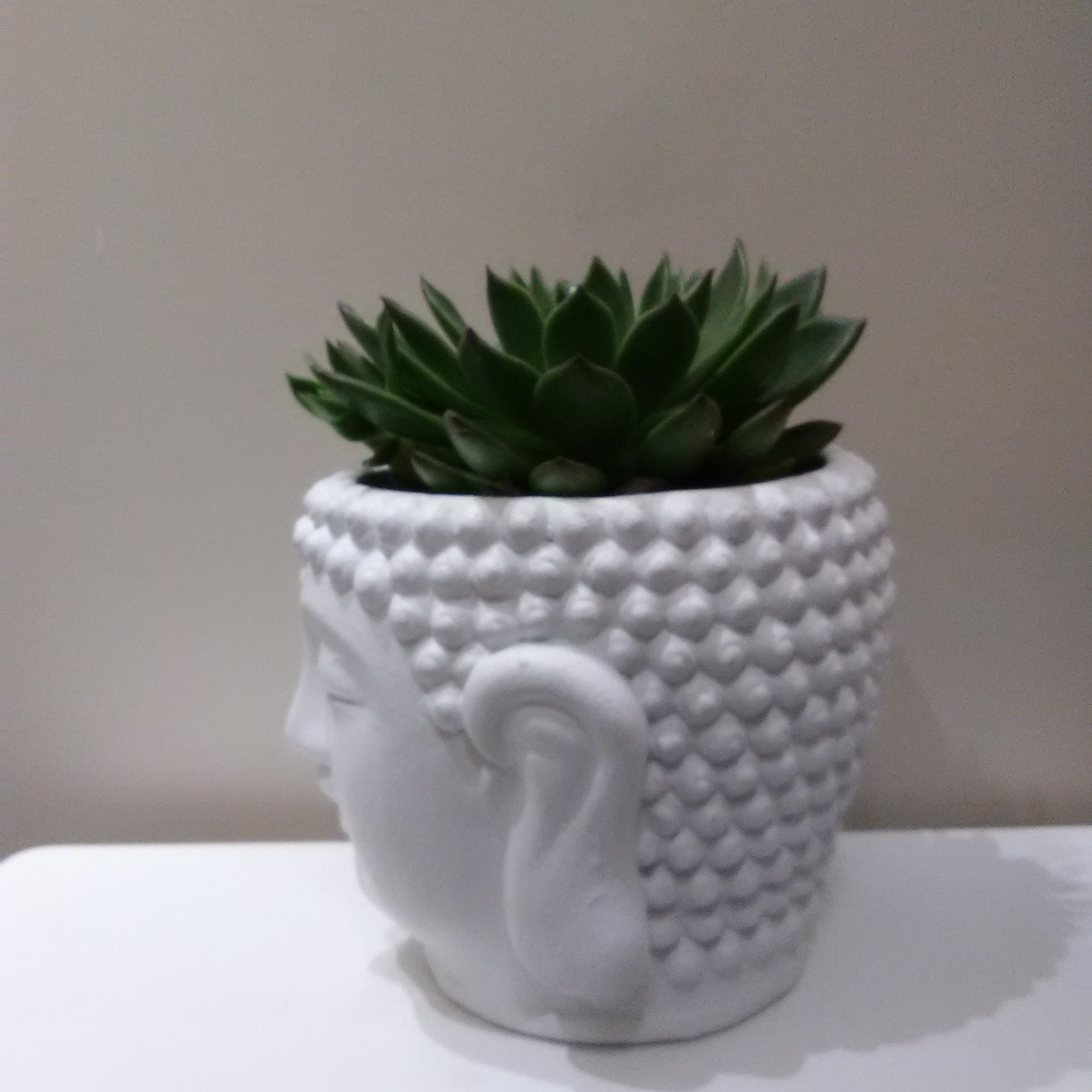 Extra Large Buddha Head Planter - Etsy Canada