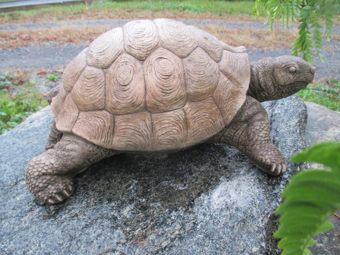 Oscar-the Snapping Turtle Statue - Etsy