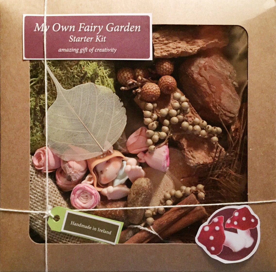 My Own Fairy Garden starter kit | Etsy
