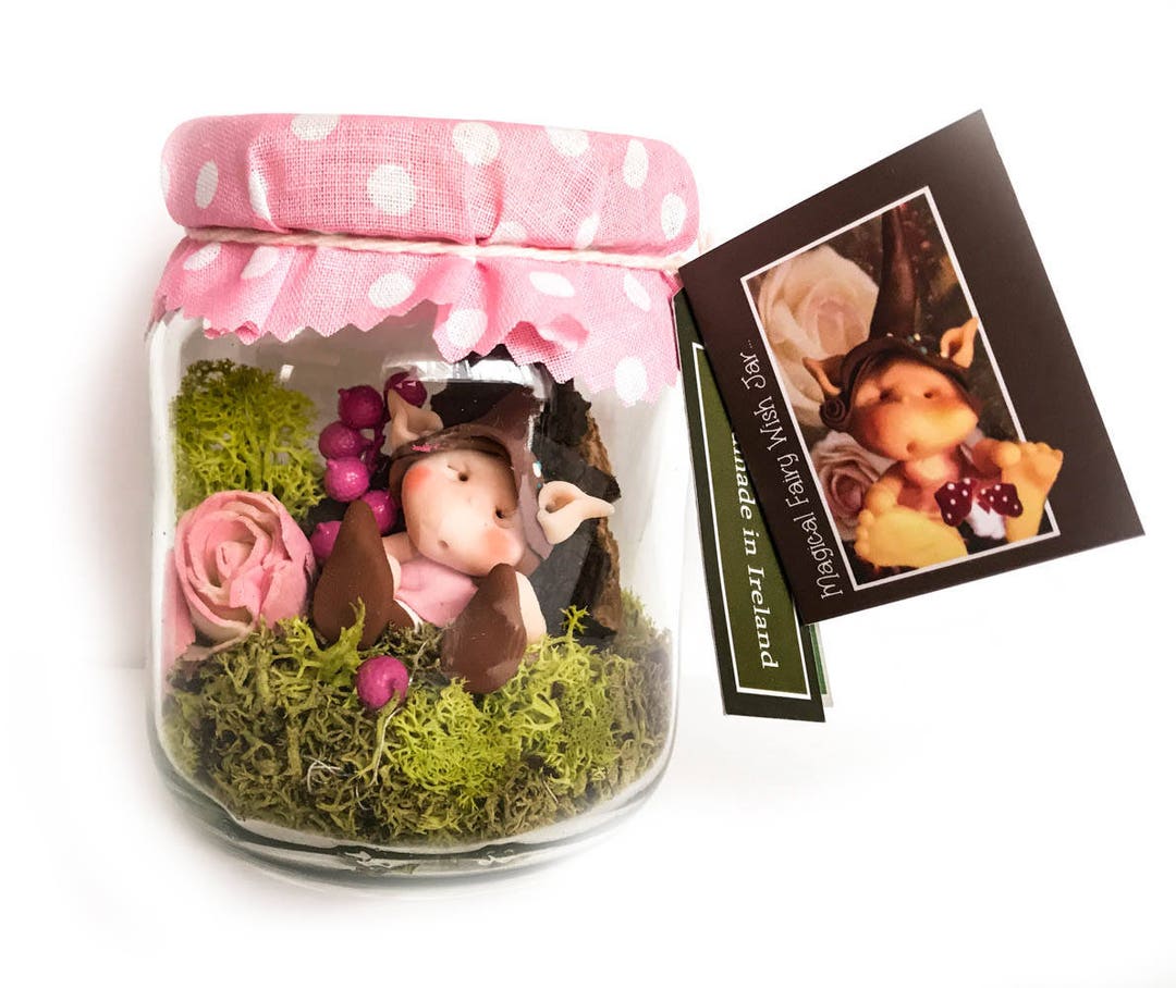 Magical Fairy Wish Jar - Etsy