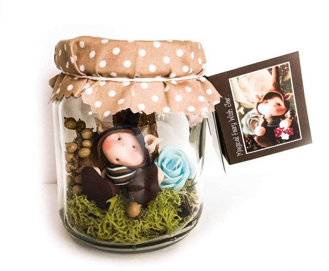 Magical Fairy Wish Jar - Etsy