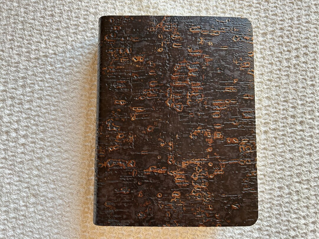 The Scribe Bible: Featuring the Message Journaling Bible Recovered ...