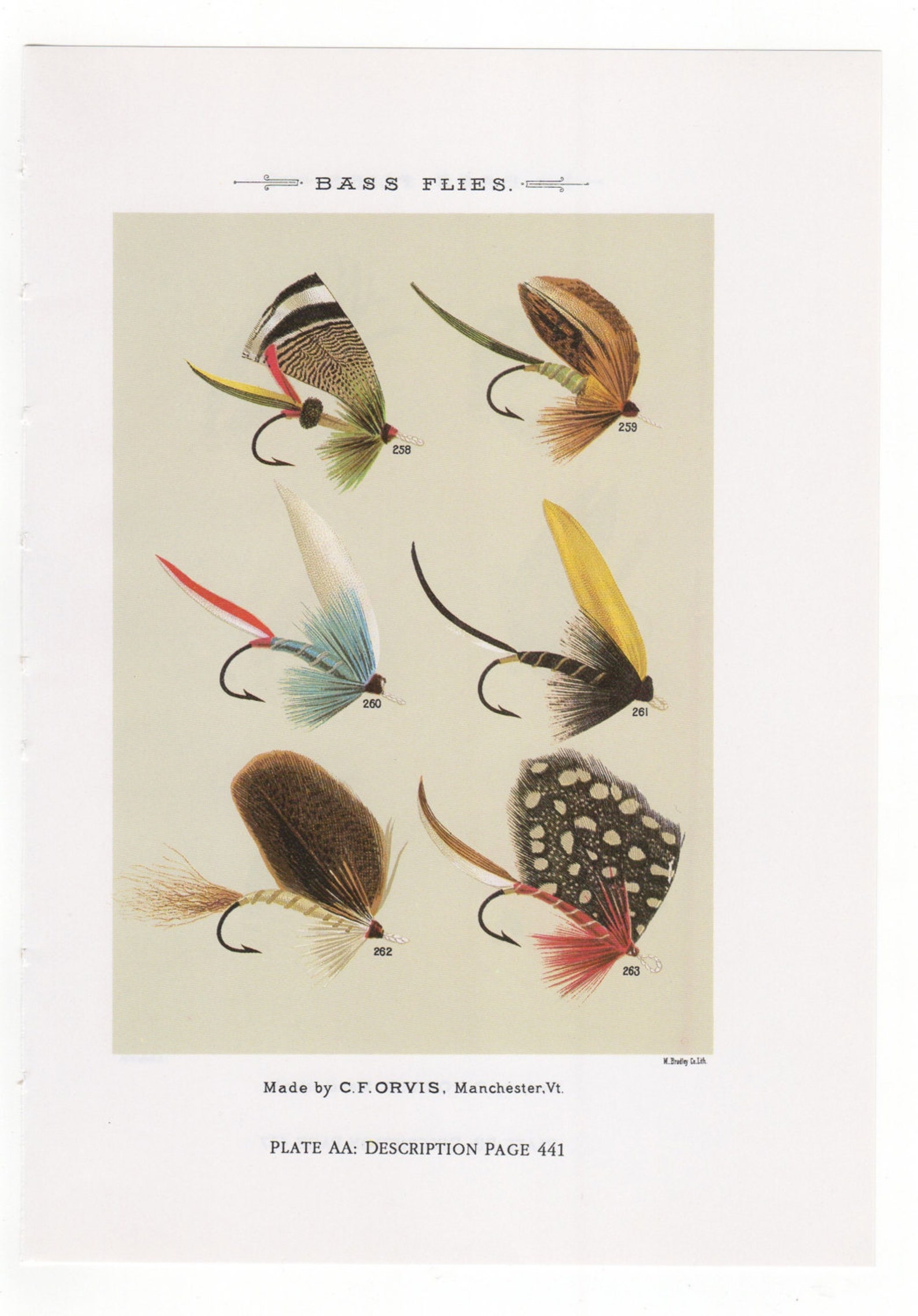 Vintage Fly Fishing Flies Print Bass Flies Print Bookplate by - Etsy