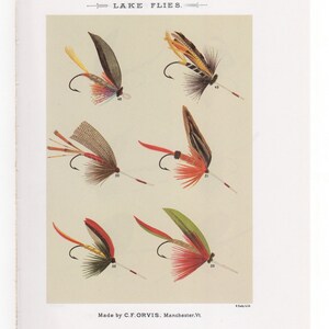 Vintage Fly Fishing Flies Print Lake Flies Print Bookplate by Mary ...