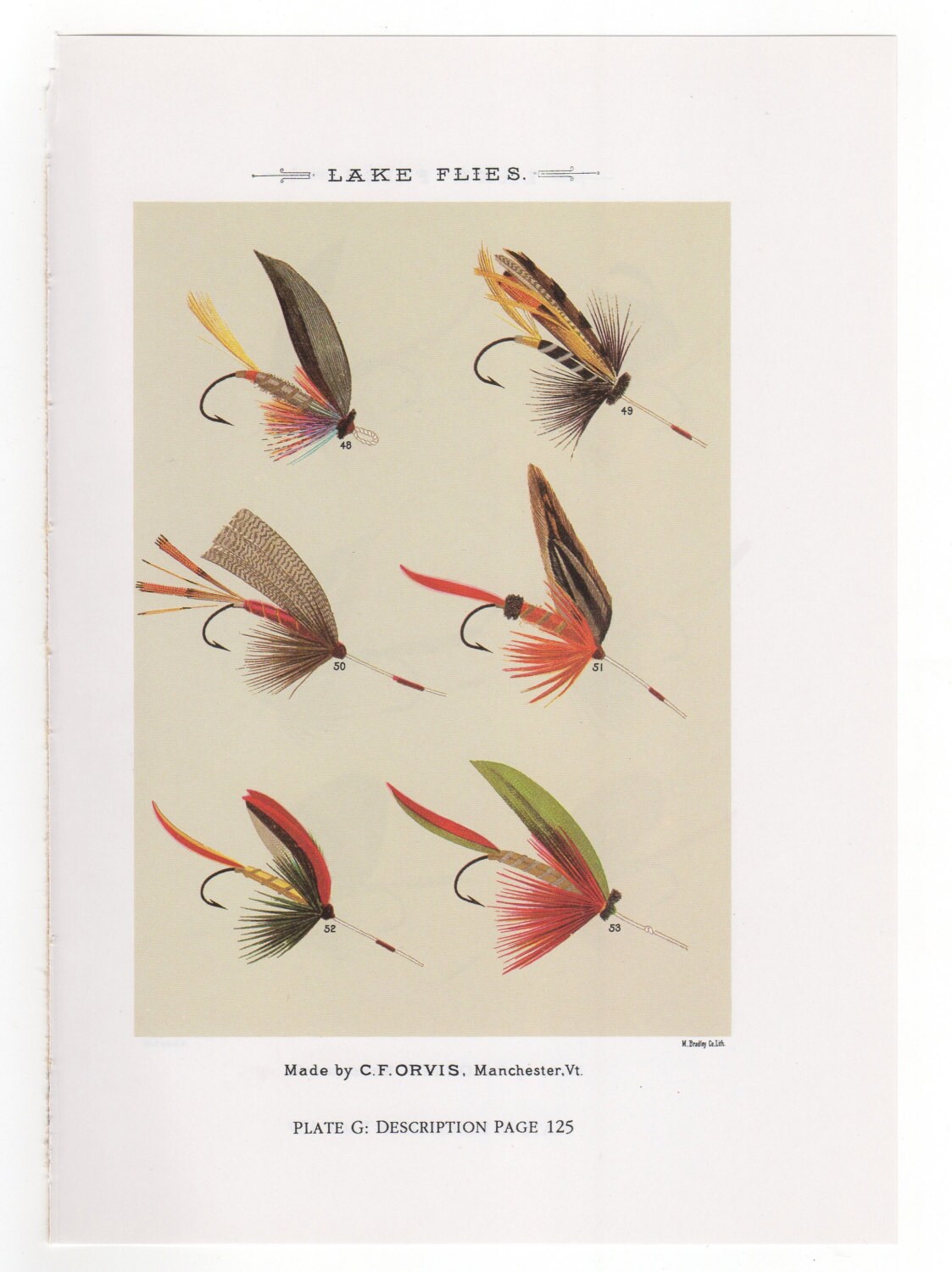 Vintage Fly Fishing Flies Print Lake Flies Print Bookplate by Mary ...
