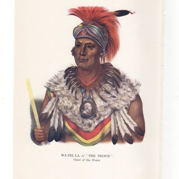 Native American Fox - Etsy