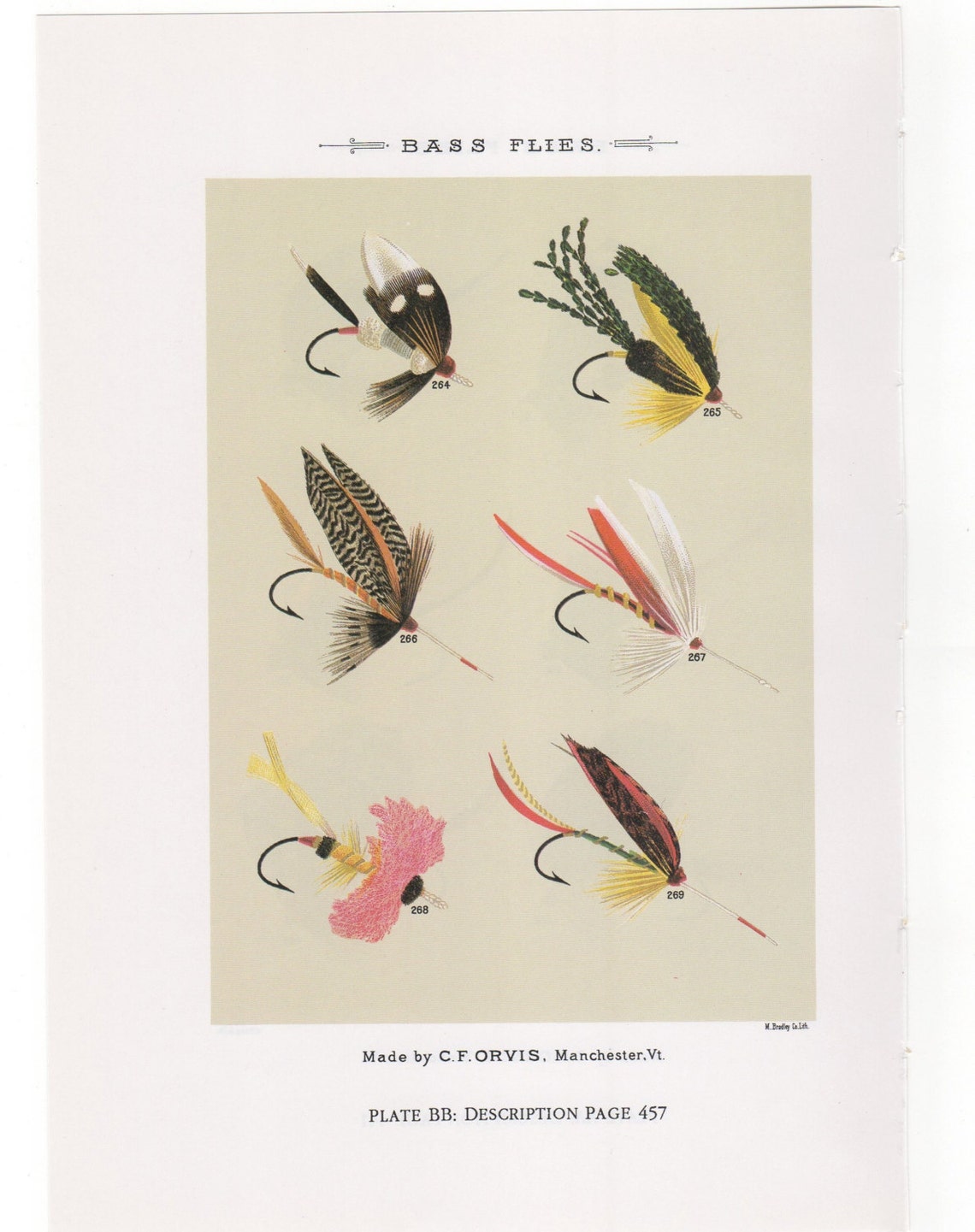 Vintage Fly Fishing Flies Print Bass Flies Print Bookplate by - Etsy