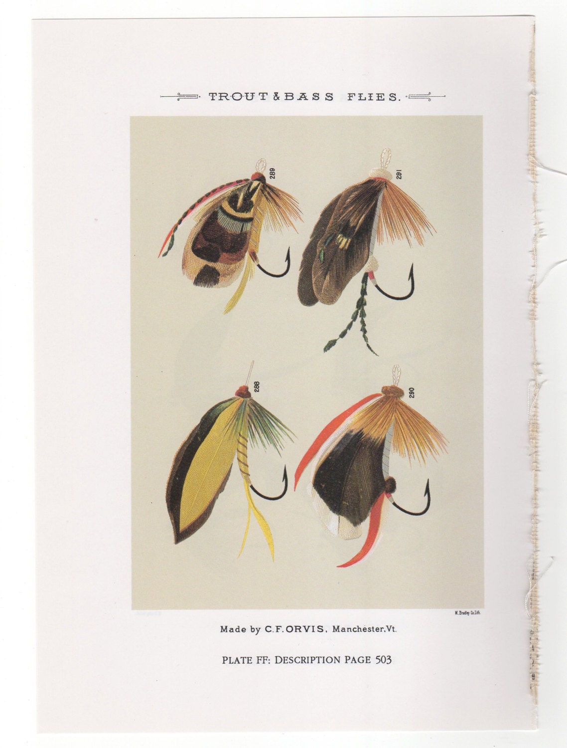 Vintage Fly Fishing Flies Print Bass/trout Flies Print Bookplate by ...