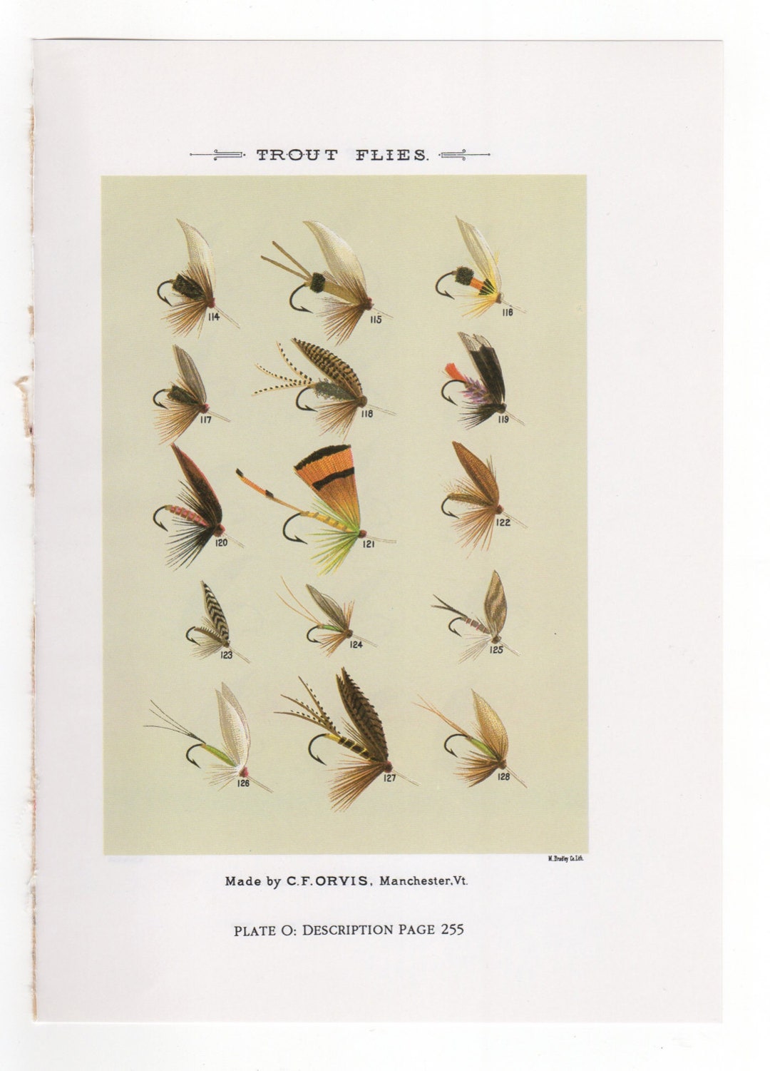 Vintage Fly Fishing Flies Print Trout Flies Print Bookplate by Mary ...