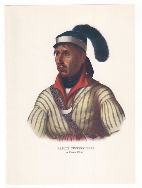 Did Native Americans Have Beards