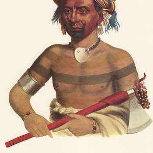 Shau-hau-napo-tinia, an Ioway Chief Vintage Native American Indian ...