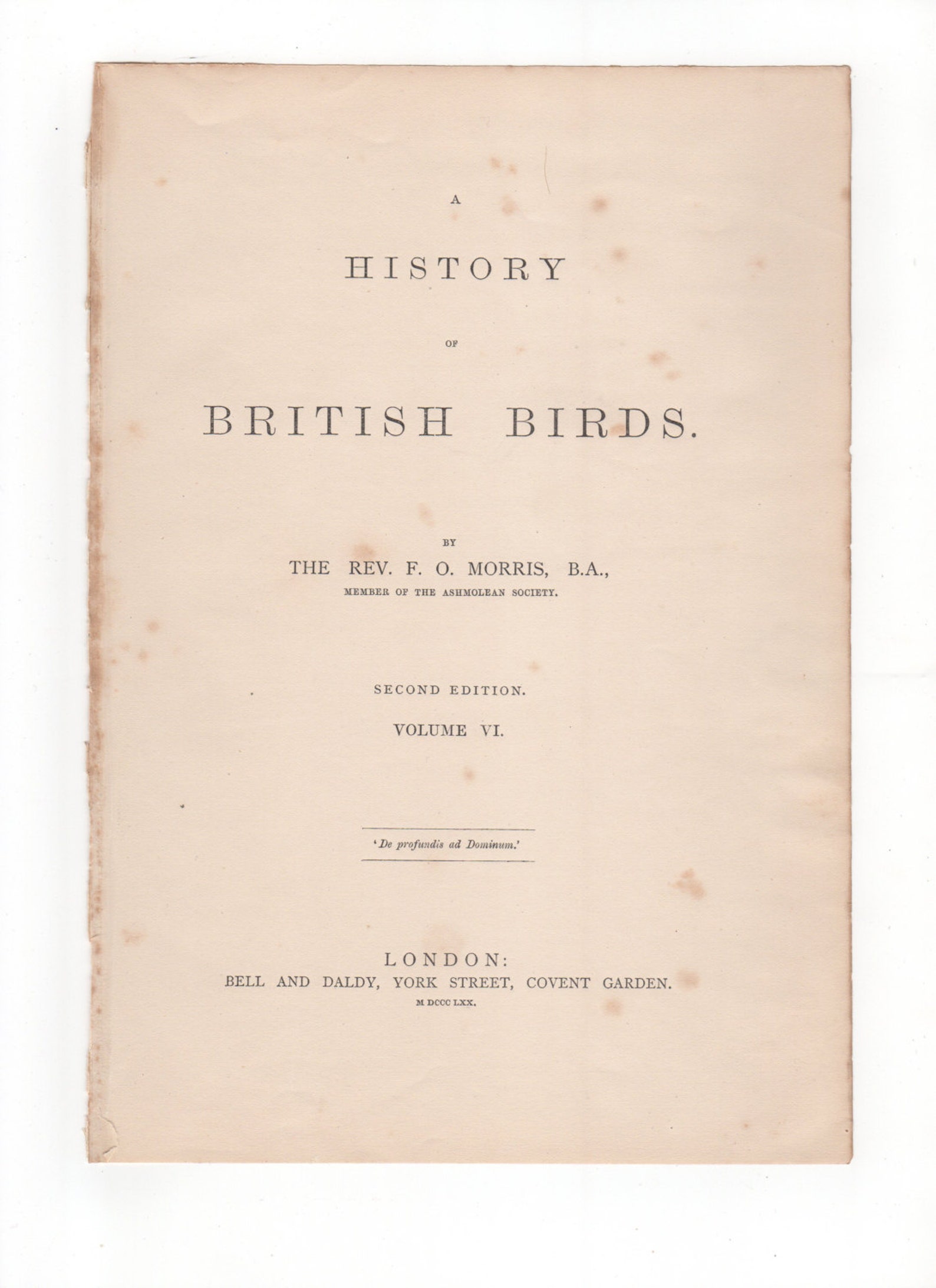 Antique Original 1870 Noddy Bird Print Plate Bookplate From Rev. F.O ...