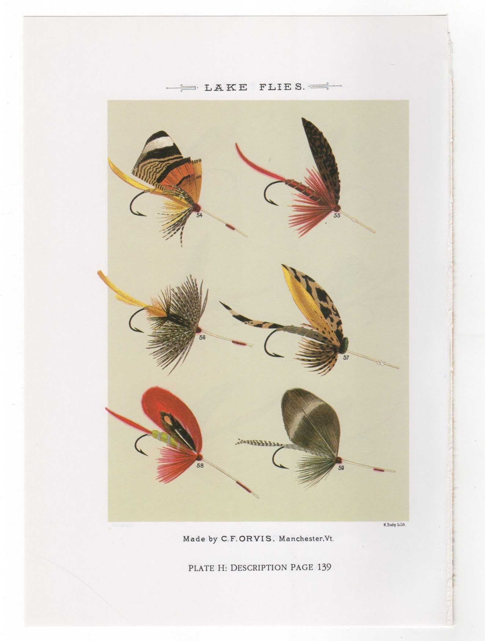 Vintage Fly Fishing Flies Print Lake Flies Print Bookplate by Mary ...
