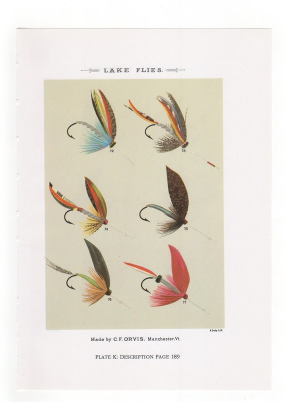 Vintage Fly Fishing Flies Print Lake Flies Print Bookplate by - Etsy
