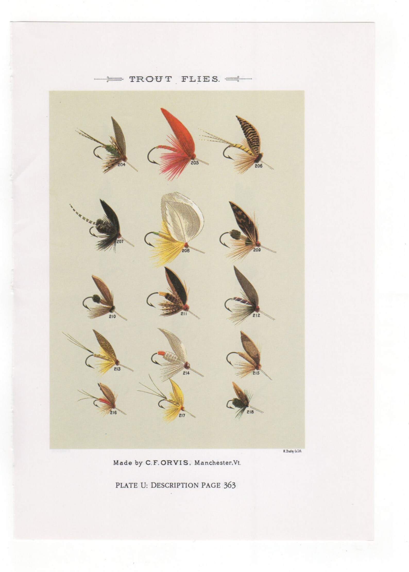 Vintage Fly Fishing Flies Print Trout Flies Print Bookplate by Mary ...