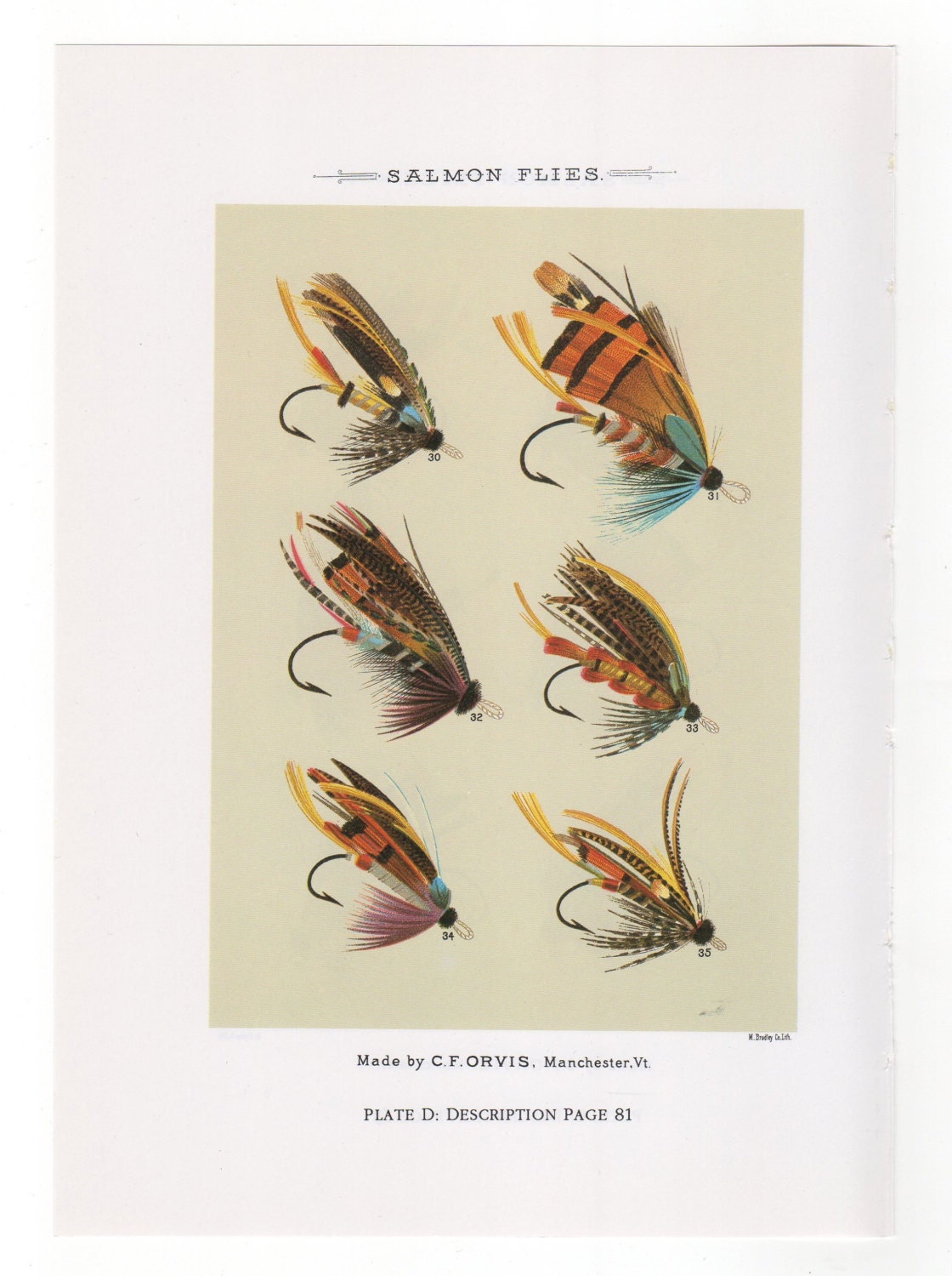 Vintage Fly Fishing Flies Print Salmon Flies Print Bookplate by Mary ...