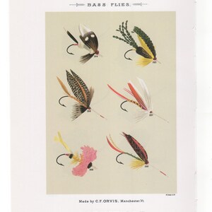 Vintage Fly Fishing Flies Print Bass Flies Print Bookplate by Mary ...