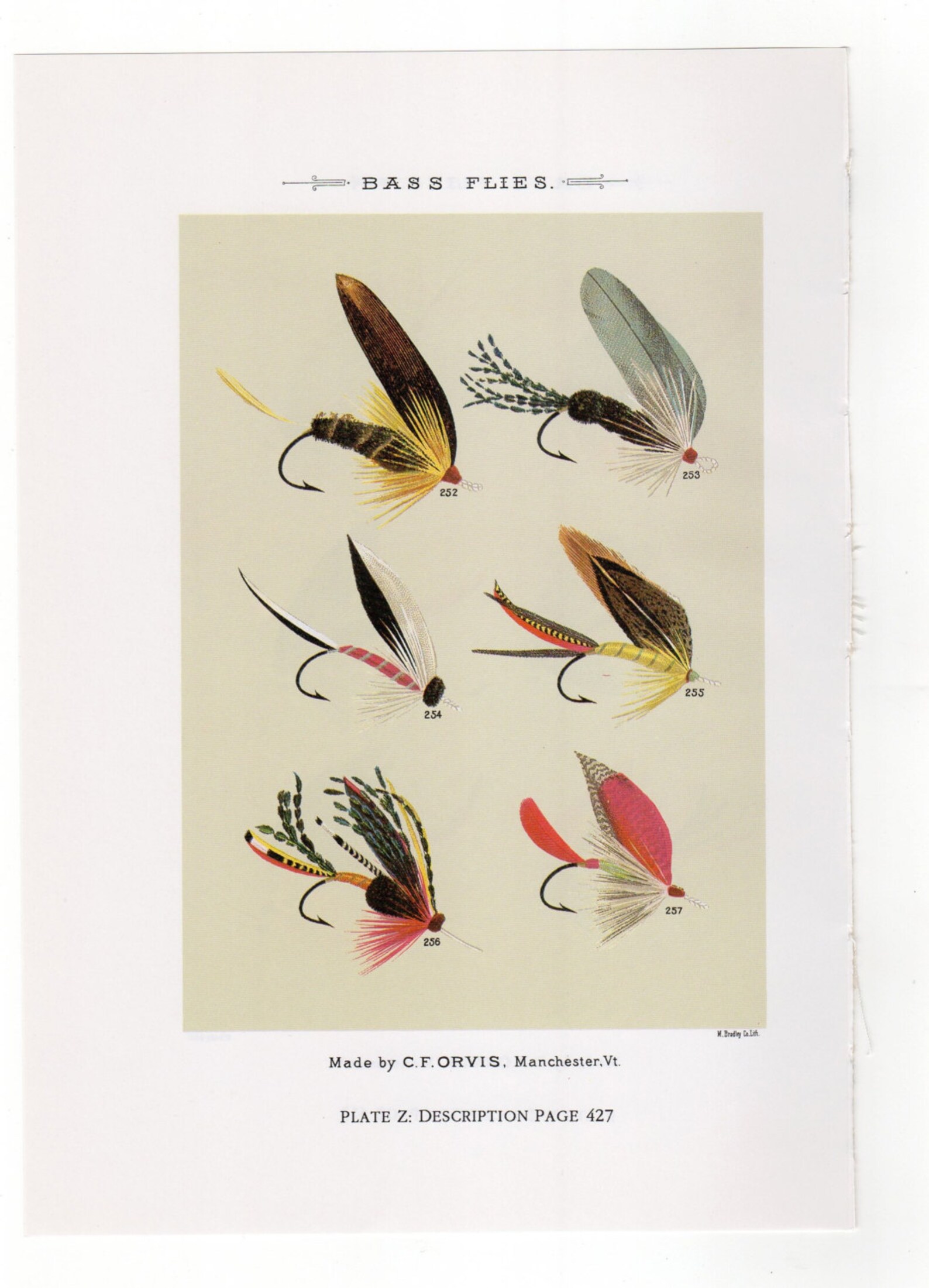 Vintage Fly Fishing Flies Print Bass Flies Print Bookplate by - Etsy