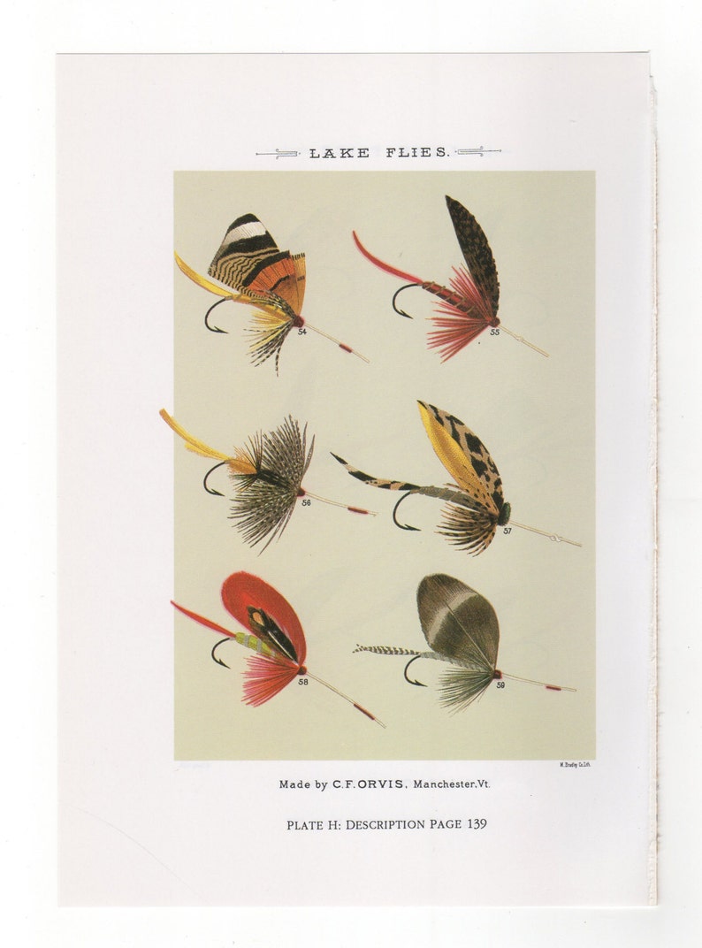 Vintage Fly Fishing Flies Print Lake Flies Print Bookplate by - Etsy