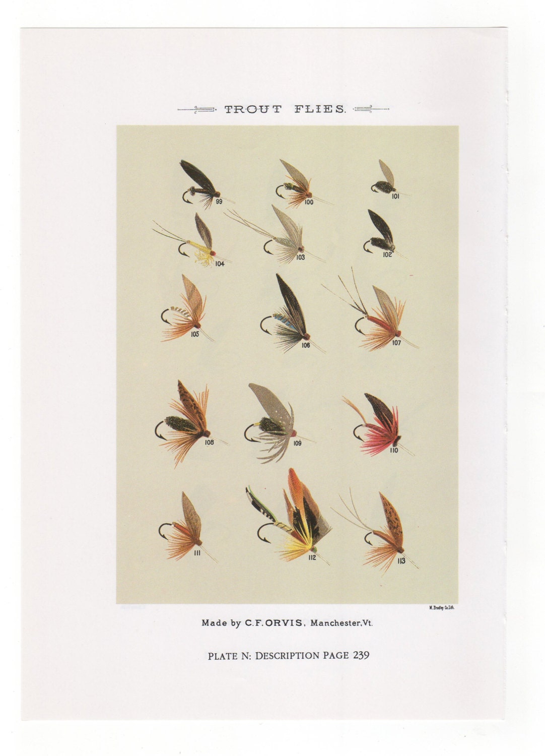Vintage Fly Fishing Flies Print Trout Flies Print Bookplate by Mary ...