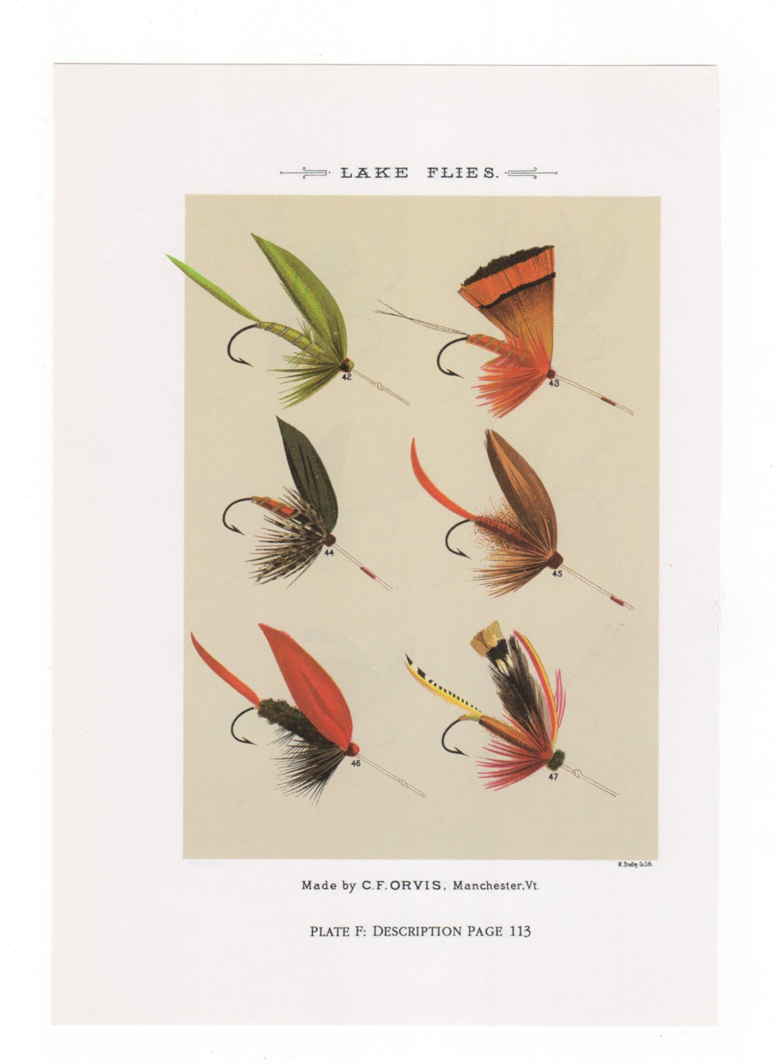 Vintage Fly Fishing Flies Print Lake Flies Print Bookplate by - Etsy