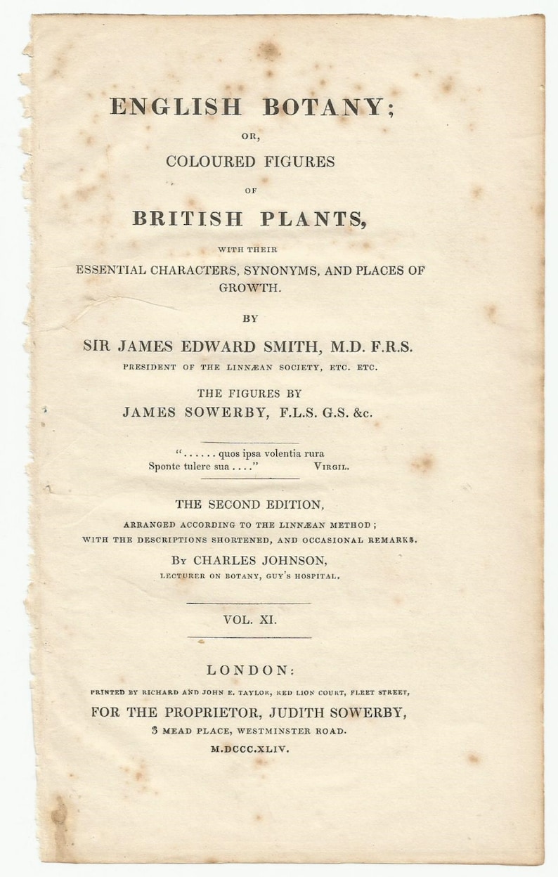 Antique Original 1844 James Sowerby Botanical Print Plate Bookplate ...