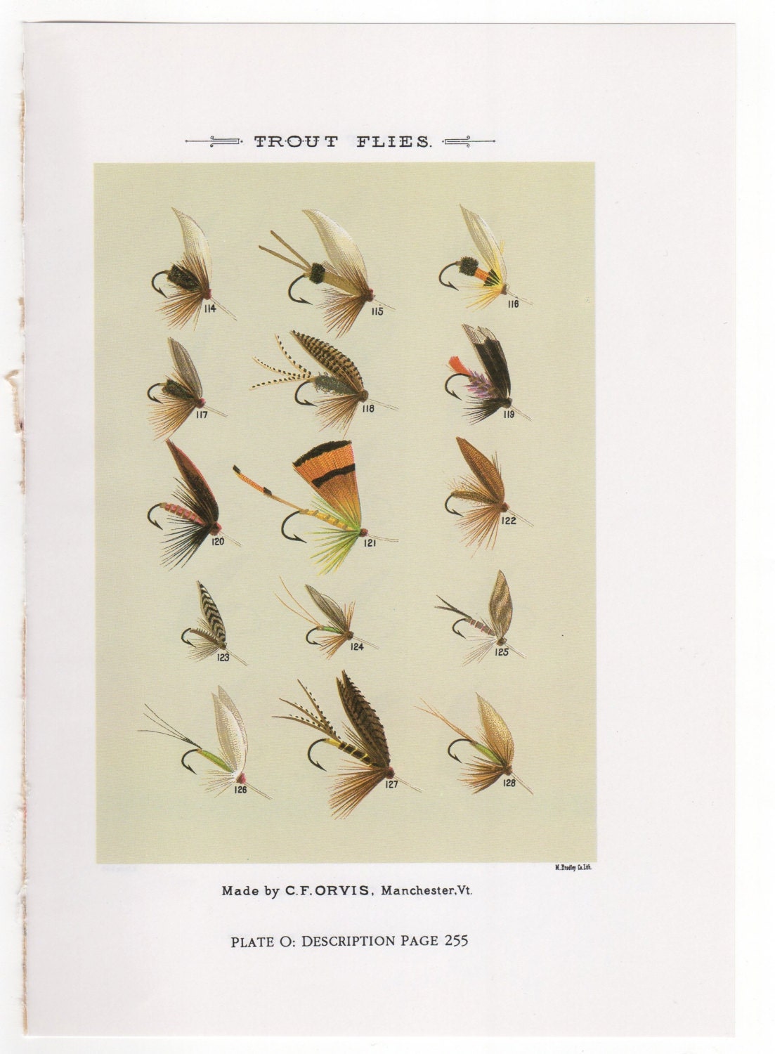 Vintage Fly Fishing Flies Print Trout Flies Print Bookplate by - Etsy