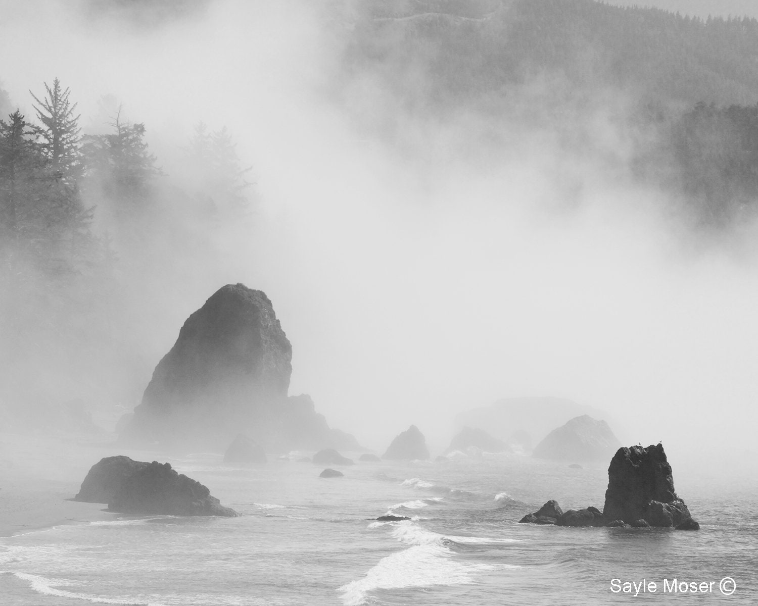 Misty Ocean Rocks