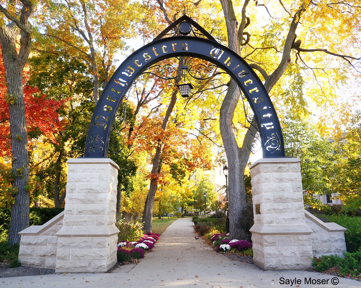 Northwestern University Campus Arch