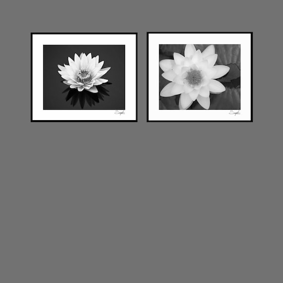 Lily Flower Diptych 3 Black and White Photo Set Fine Art | Etsy