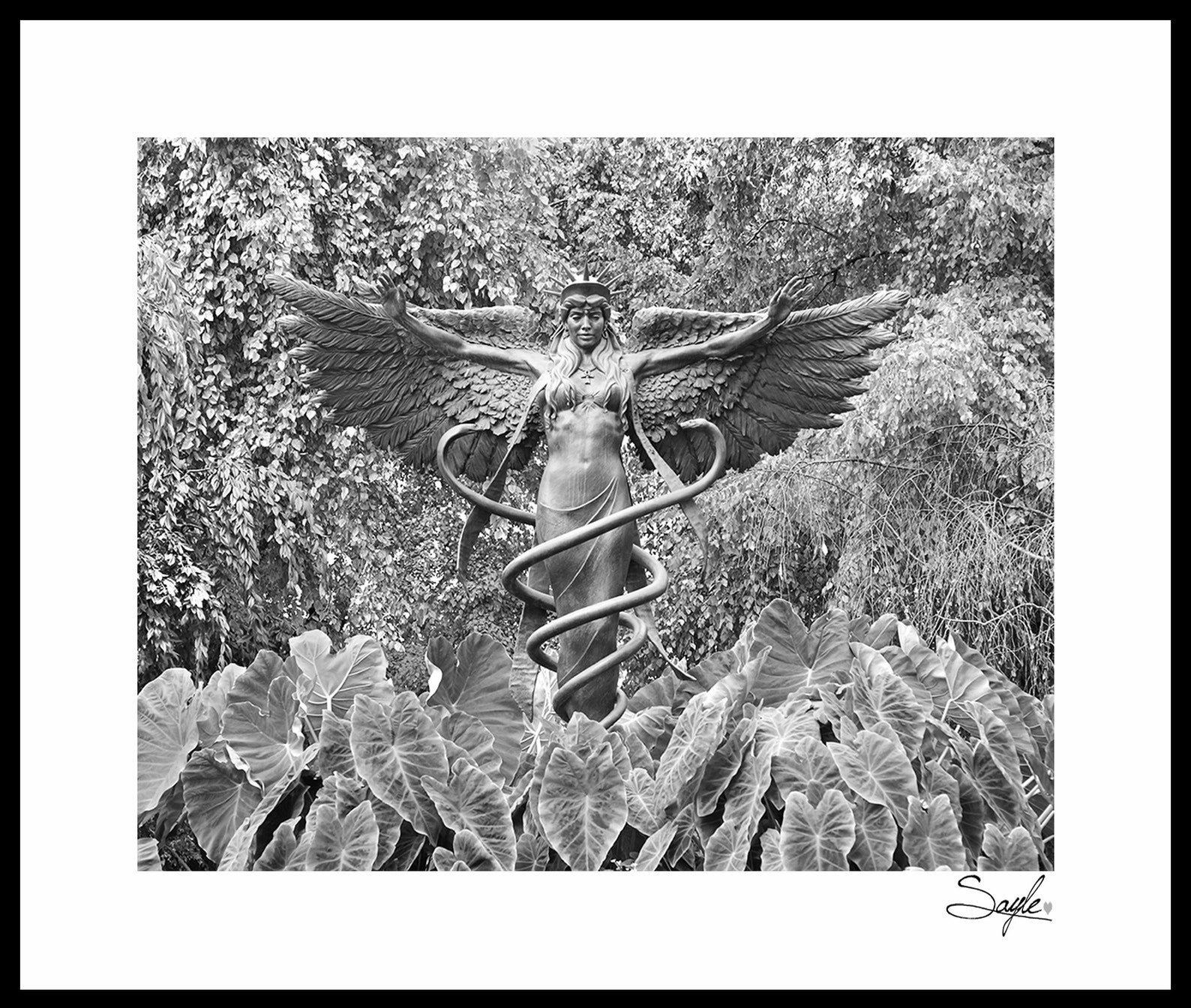 Caduceus Angel Statue 1 Fine Art Photograph, St. Louis Angel, Wall Art ...