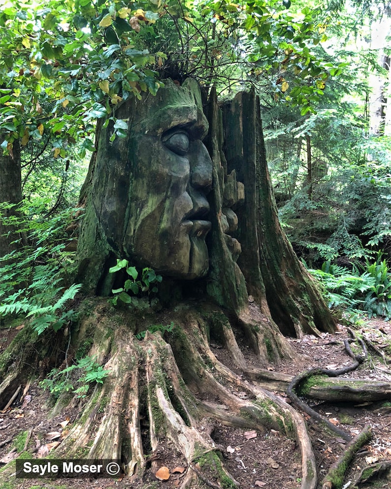 Spirit Head Forest Sculpture Fine Art Photograph Wall Art - Etsy