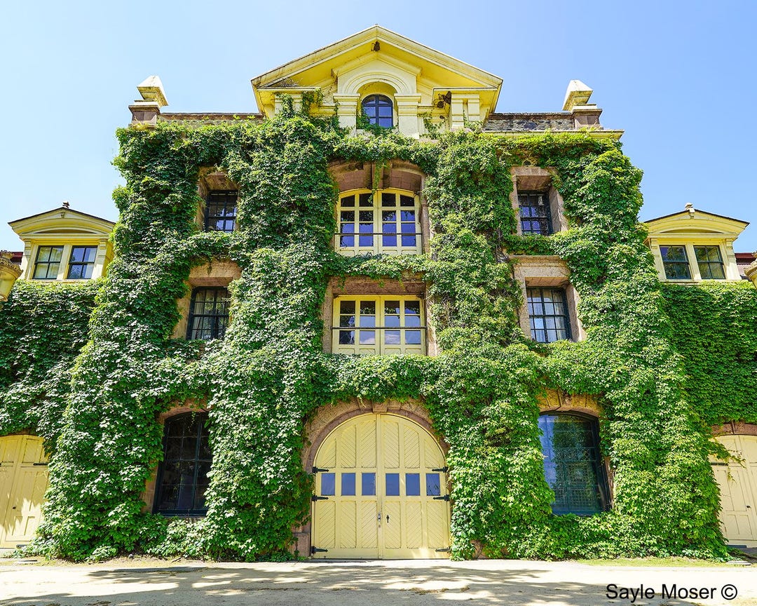 Napa Valley Inglenook Winery 1 Fine Art Photograph, Wall Art, Rubicon ...