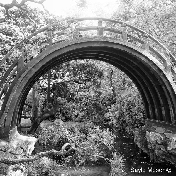 Moon Gate Arch - Etsy