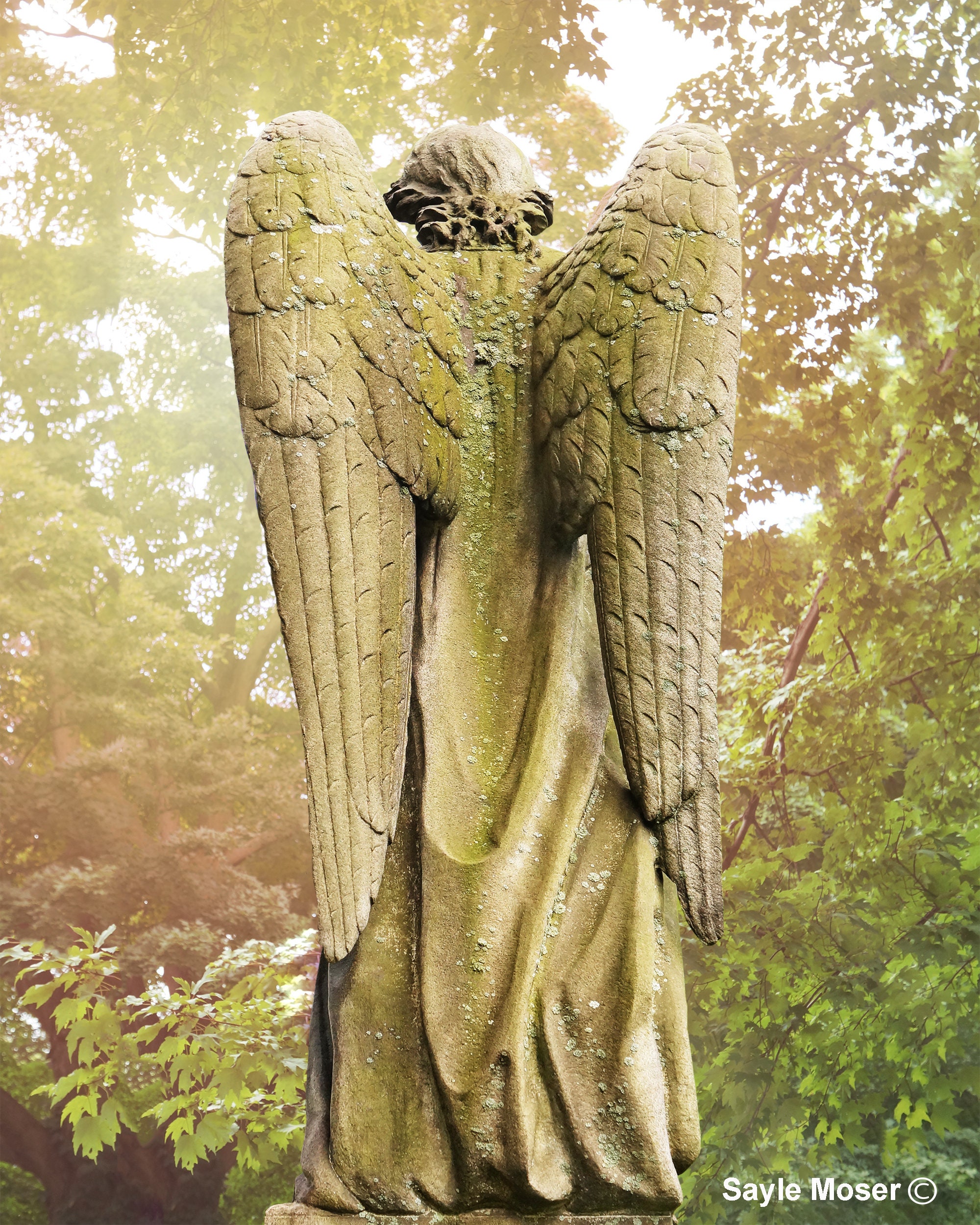Angel Statue 36 Fine Art Photograph, Wall Art, Room Decor, Angel Wings ...