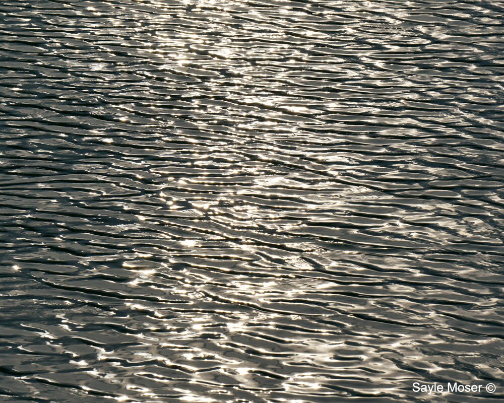 Lake Michigan Water Ripples Fine Art Photograph, Wall Art, Water ...