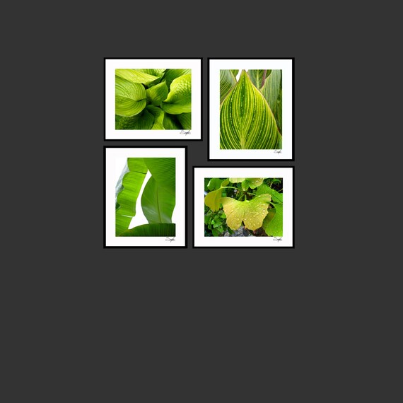 Green Botanic Garden Photograph Print Set Fine Art | Etsy