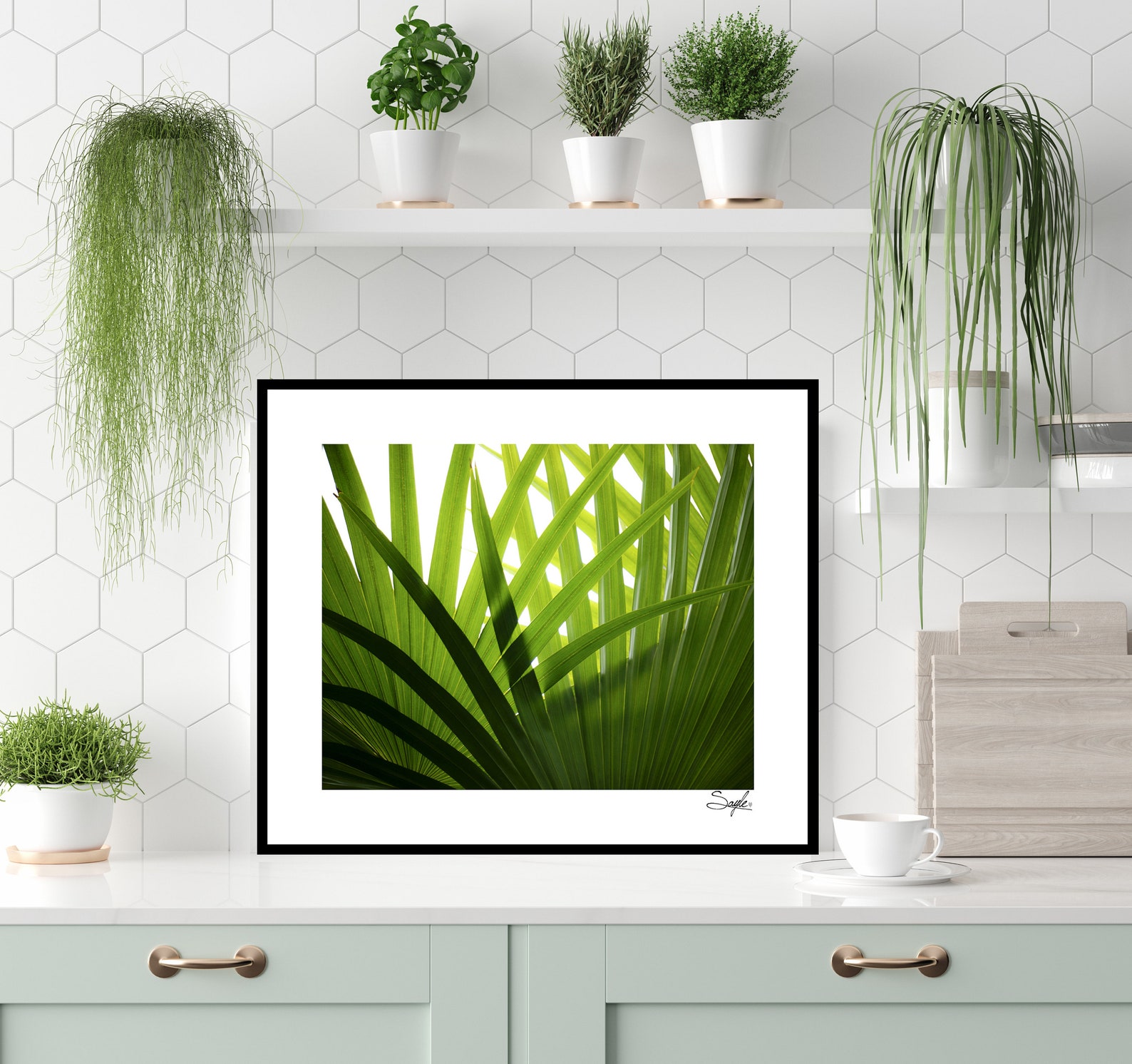 Fan Palm Frond Detail 2 Fine Art Photograph, Wall Art, Nature ...