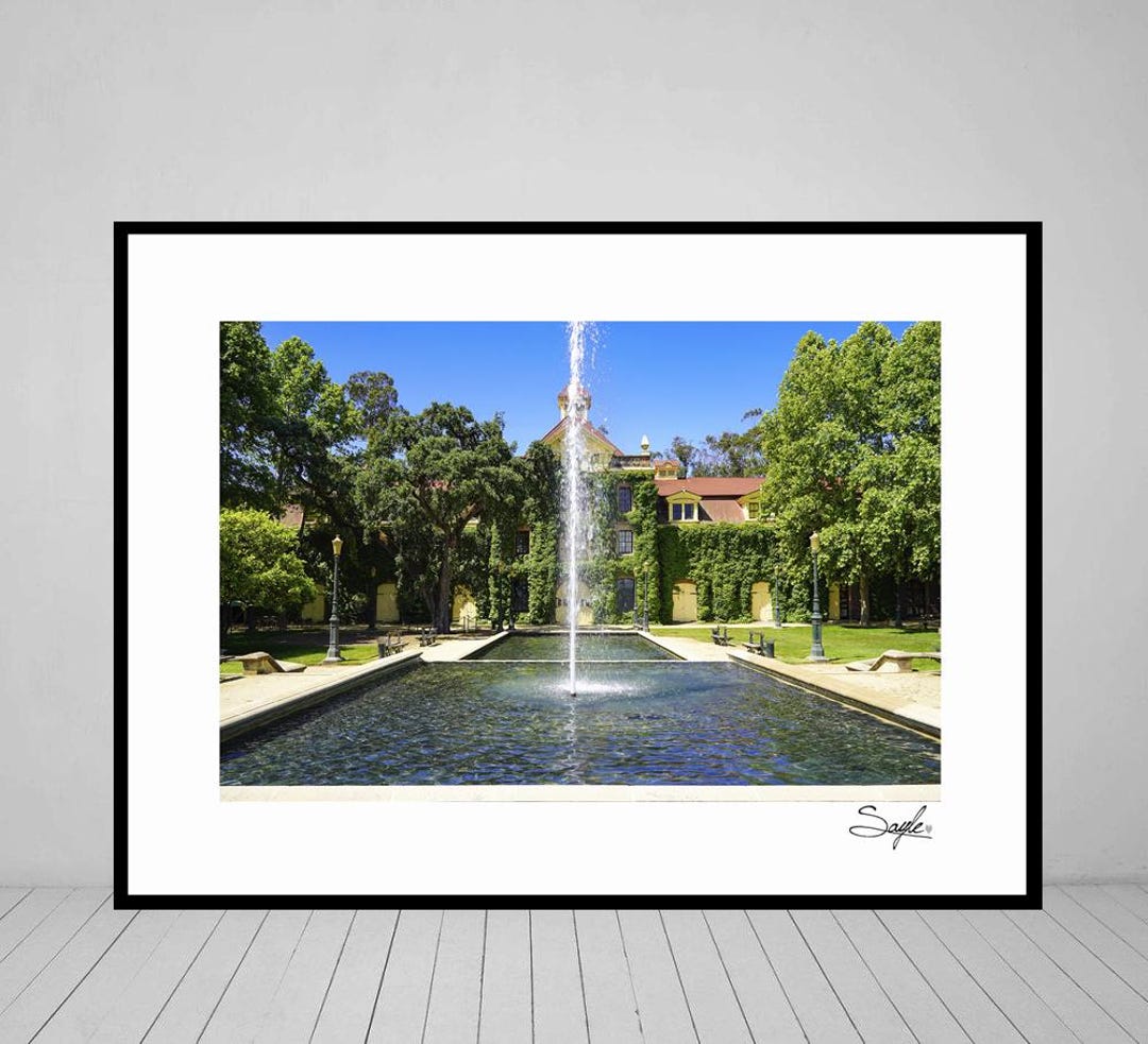 Napa Valley Inglenook Winery 4 Fine Art Photograph, Wall Art, Rubicon ...