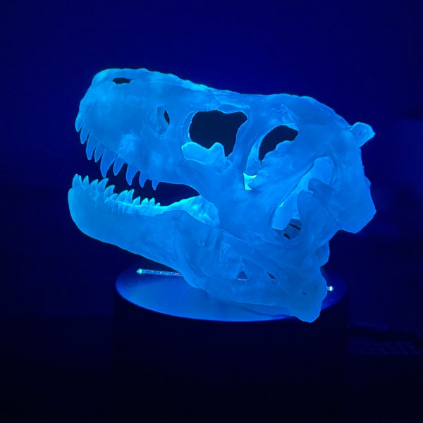 Dinosaur Light - Etsy