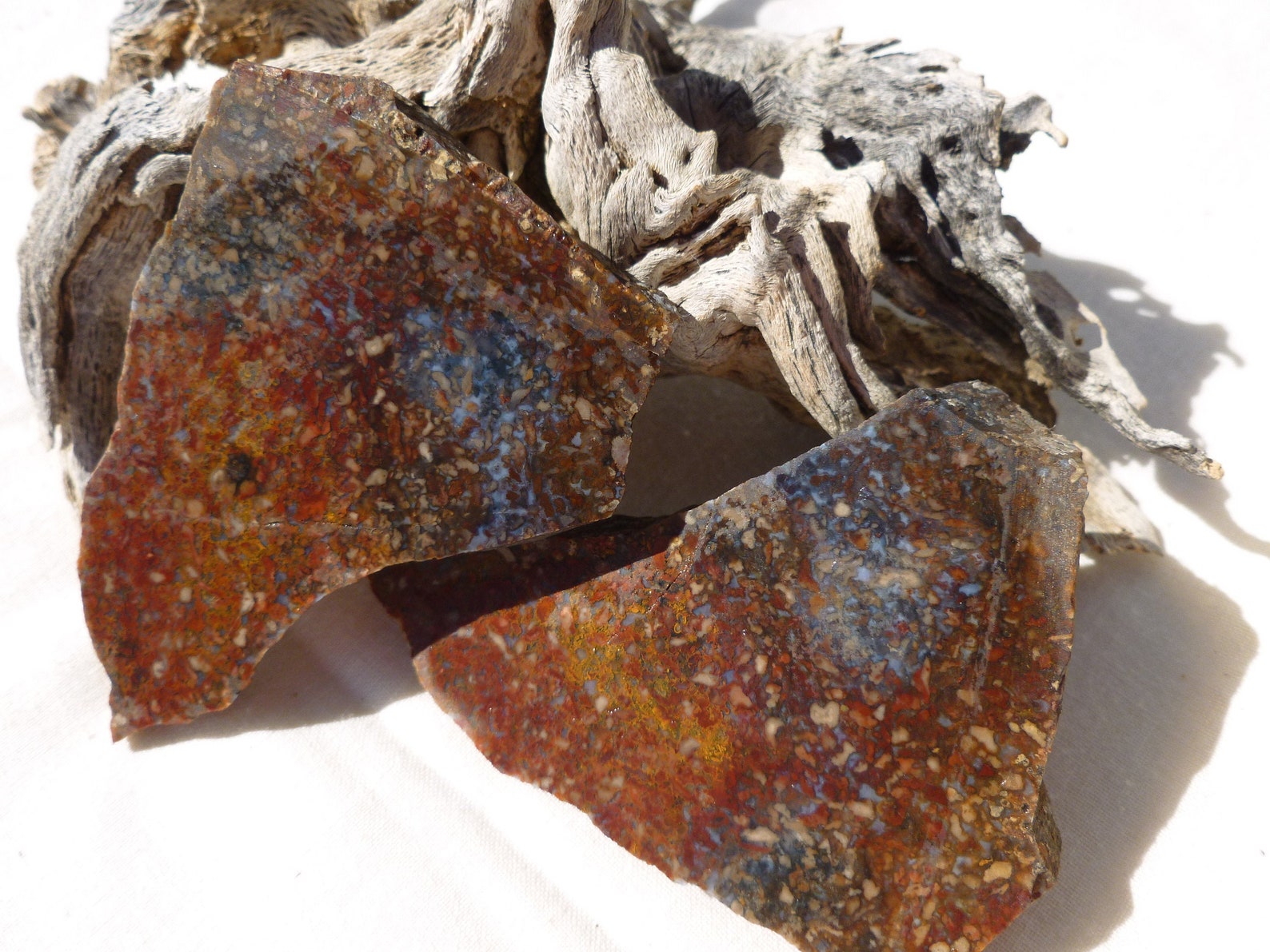 2 Slabs Petrified Algae Tri-color~~mohave Desert California Rock Slab ...
