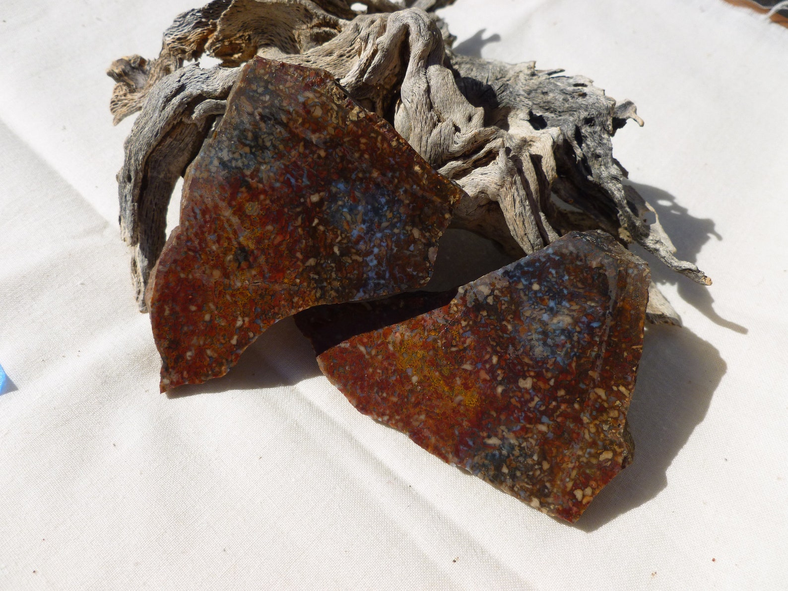 2 Slabs Petrified Algae Tri-color~~mohave Desert California Rock Slab ...