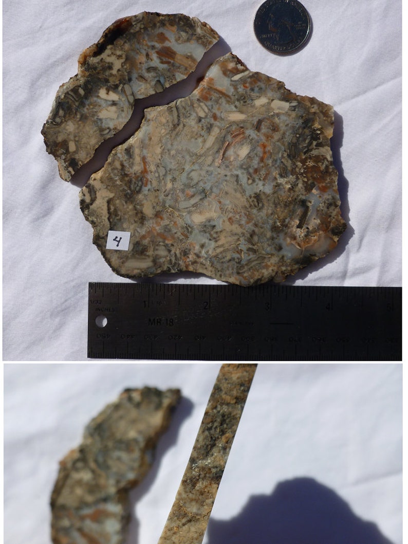 Brecciated Jasper Rock Slabmohave Desert Calif Rough | Etsy